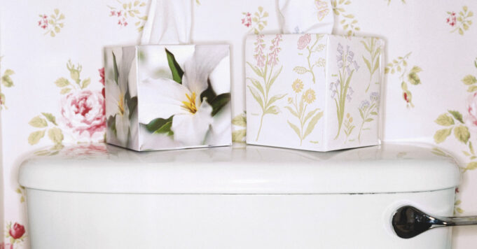 Miction fréquente ou urgente : causes et soulagement - santemedicals.com