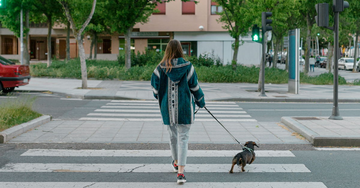 13 Façons De Ne Pas Se Sentir Seul, Même Si Vous êtes Seul ...