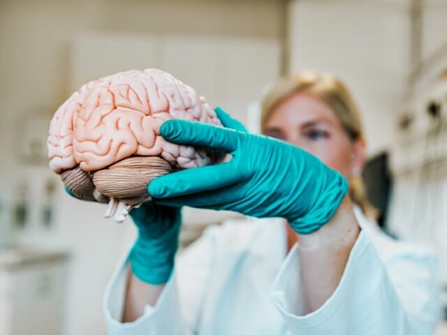Hypopituitarisme : causes, symptômes et traitement - santemedicals.com