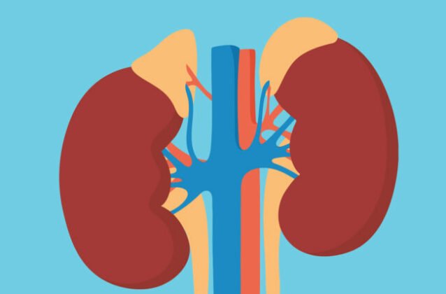 Maladie d’Addison : causes et symptômes - santemedicals.com