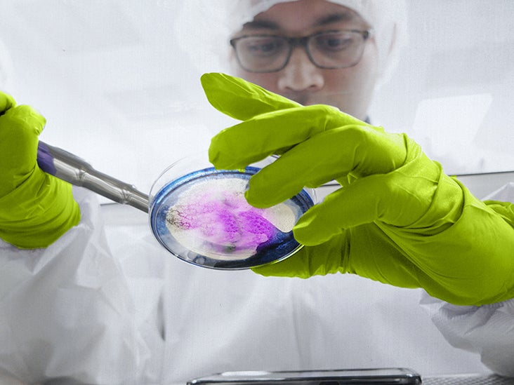 Un anticoagulant nouveau et plus sûr n'augmente pas le risque de ...